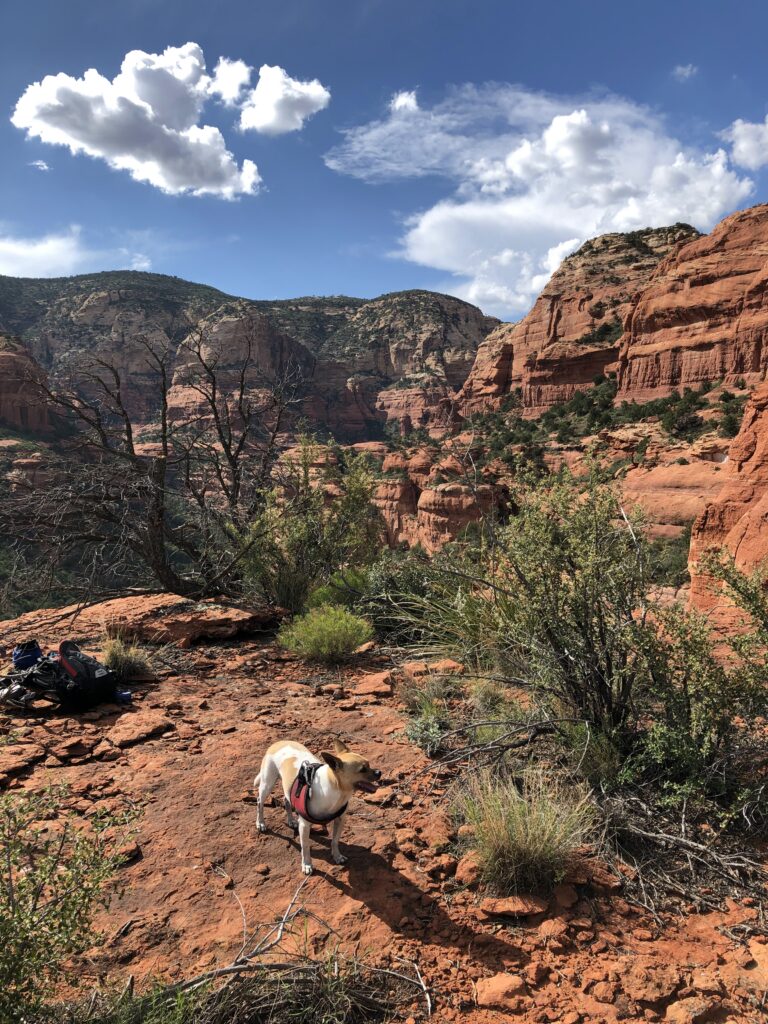 Fay Canyon Trail - PHX Stays